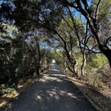 Trippet Ranch to Eagle Springs Loop Trail, California - 826 Reviews ...