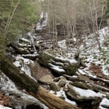 Lye Brook Falls Trail, Vermont - 2,763 Reviews, Map | AllTrails
