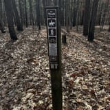 Berryman and Ozark Trail Loop, Missouri - 288 Reviews, Map | AllTrails
