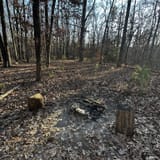 Berryman and Ozark Trail Loop, Missouri - 288 Reviews, Map | AllTrails