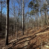 Berryman and Ozark Trail Loop, Missouri - 288 Reviews, Map | AllTrails