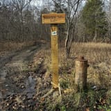 Berryman and Ozark Trail Loop, Missouri - 288 Reviews, Map | AllTrails