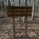 Berryman and Ozark Trail Loop, Missouri - 288 Reviews, Map | AllTrails