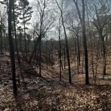 Berryman and Ozark Trail Loop, Missouri - 288 Reviews, Map | AllTrails