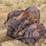 Dixie Mountain Loop Trail, Arizona - 3,104 Reviews, Map | AllTrails