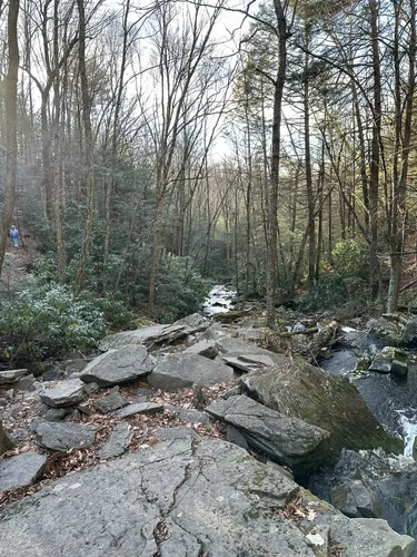 Best Hikes and Trails in Neversink River Unique Area | AllTrails