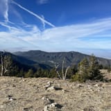 Mount Pinos Trail, California - 1,290 Reviews, Map | AllTrails