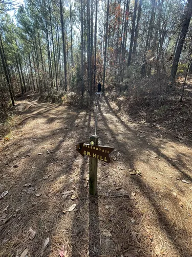 Best Hikes and Trails in Talking Rock Nature Preserve | AllTrails