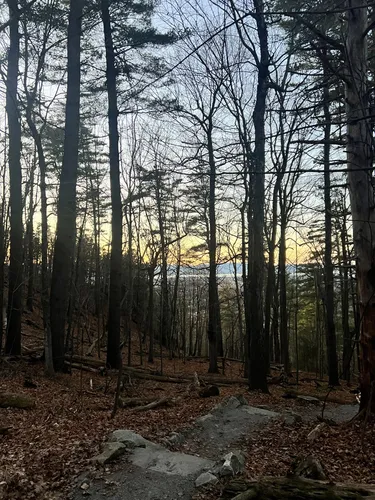 Best Hikes and Trails in Mount Philo State Park | AllTrails