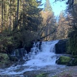 Alsea Falls and Green Peak Falls, Oregon - 1,004 Reviews, Map | AllTrails