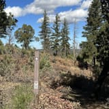 Grindstone Canyon Loop, New Mexico - 1,562 Reviews, Map | AllTrails