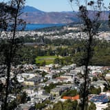 Mount Sutro Loop, California - 2,223 Reviews, Map | AllTrails