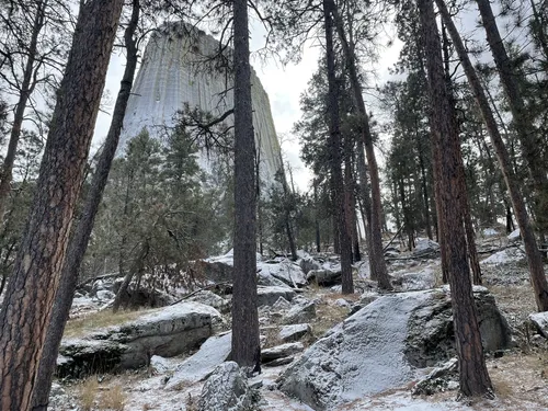 Best Hikes and Trails in Devils Tower | AllTrails