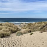 Kehoe Beach Trail, California - 337 Reviews, Map | AllTrails