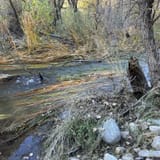 Piru Creek Trail, California - 191 Reviews, Map | AllTrails