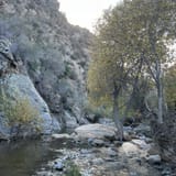 Piru Creek Trail, California - 191 Reviews, Map | AllTrails