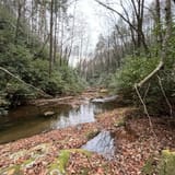 Hemlock Falls and Moccasin Creek Wildlife Trail, Georgia - 442 Reviews ...