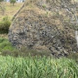 Organ Pipes, Rosette Rock and Tesselated Pavement Circuit, Victoria ...