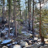 Indian Pools Trail, California - 740 Reviews, Map | AllTrails