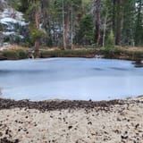 Indian Pools Trail, California - 740 Reviews, Map | AllTrails