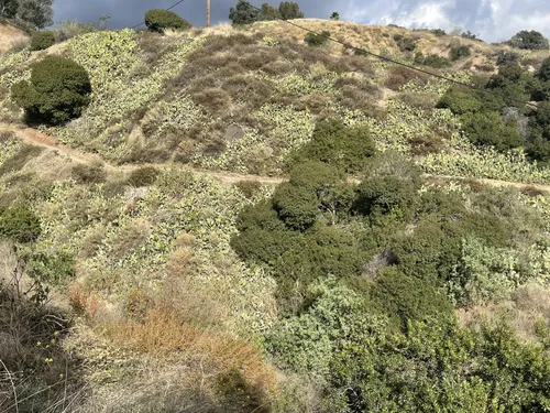 Best Hikes and Trails in San Dimas Canyon Community Regional Park ...