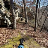 North Rim, Mossback Ridge, and Greenfield Trails Loop, Arkansas - 713 ...