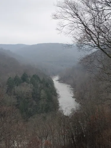 2023 Best Moderate Trails in Mill Run | AllTrails