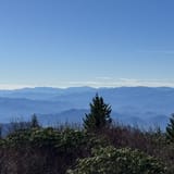 Andrews Bald Trail, North Carolina - 2,358 Reviews, Map | AllTrails