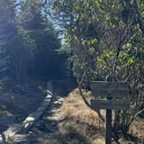 Andrews Bald Trail, North Carolina - 2,358 Reviews, Map | AllTrails