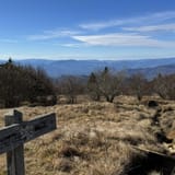 Andrews Bald Trail, North Carolina - 2,358 Reviews, Map | AllTrails