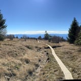 Andrews Bald Trail, North Carolina - 2,366 Reviews, Map | AllTrails