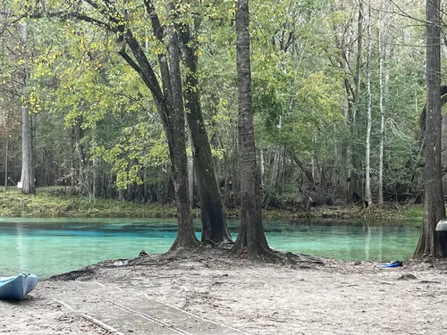 Best Hikes and Trails in Gilchrist Blue Springs State Park | AllTrails