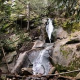 Syphon Falls Trail, British Columbia, Canada - 204 Reviews, Map | AllTrails