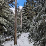 Haystack Mountain Trail, Vermont - 1,911 Reviews, Map | AllTrails