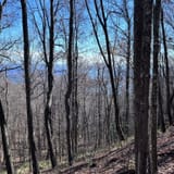 Foothills Trail A8 - A9, North Carolina - 149 Reviews, Map | AllTrails