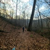 Green River Bluff, Echo River Springs, Sinkhole and Heritage Trail ...