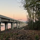 Foster Island Trail, Washington - 696 Reviews, Map | AllTrails