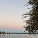 Foster Island Trail, Washington - 696 Reviews, Map | AllTrails