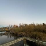 Foster Island Trail, Washington - 696 Reviews, Map | AllTrails