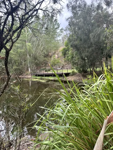 Best Hikes and Trails in Haig Street Quarry Bushland Reserve | AllTrails