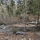 Jones Creek Loop, Nevada - 1,163 Reviews, Map | AllTrails