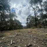 Long Gully Track Loop, Victoria, Australia - 58 Reviews, Map | AllTrails