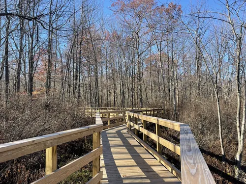 Best Hikes and Trails in Great Swamp National Wildlife Refuge | AllTrails