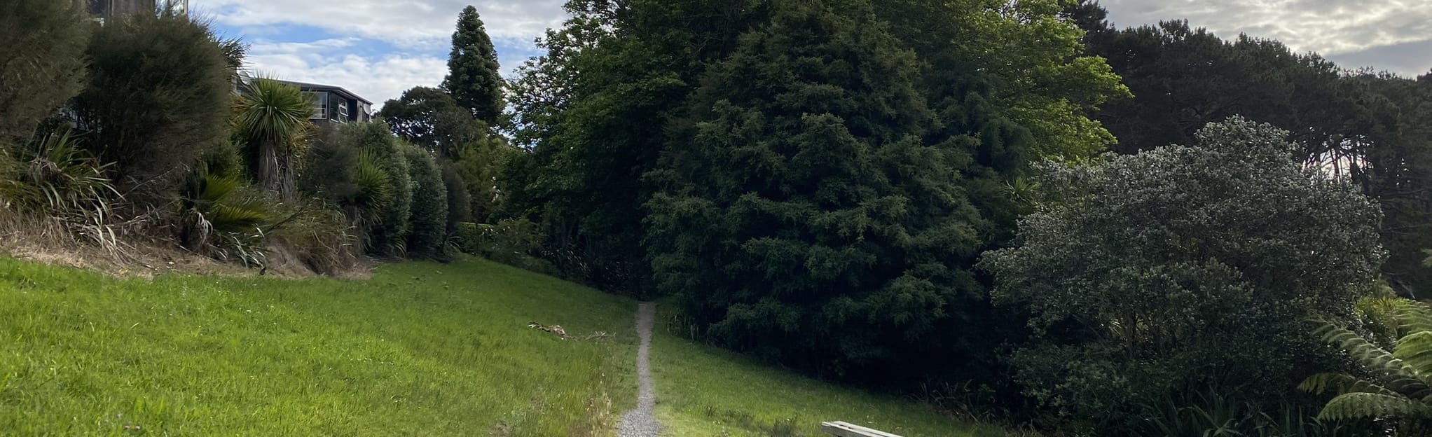 Centennial Park Bush Walk, Auckland, New Zealand - 174 Reviews, Map ...