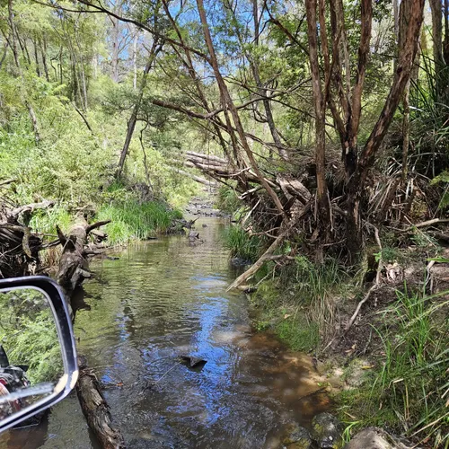 Best Hikes and Trails in Neerim South | AllTrails