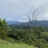 Kemensah - Bukit Pau Extended Trail, Selangor, Malaysia - 401 Reviews ...