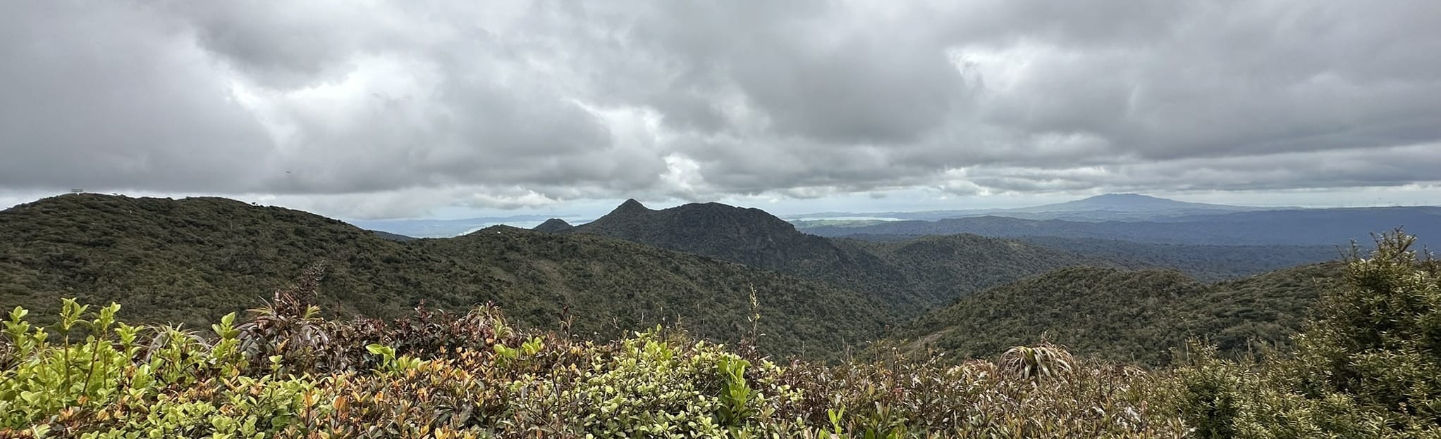 Mount Pirongia via Tirohanga and Mahaukura Tracks, Waikato, New Zealand ...