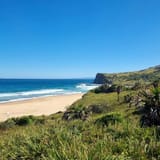 Palm Jungle Loop Track, New South Wales, Australia - 339 Reviews, Map ...