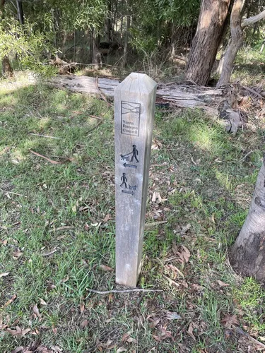 Best Hikes and Trails in Baluk Willam Flora Reserve | AllTrails