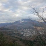 Mount Kintoki - Kintoki Shrine, Kanagawa, Japan - 206 Reviews, Map ...